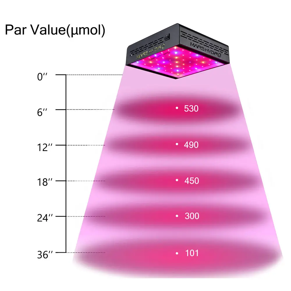 Mars Hydro Beginner Light 2 Series: Mars Old Model and Mars Eco Series