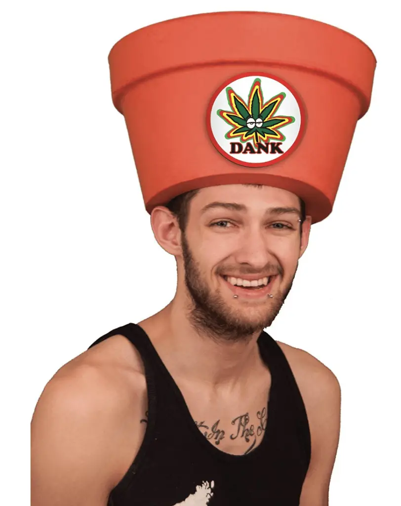 27 Best Weed Halloween Costumes [ 2021 ] - Marijuana Beginners