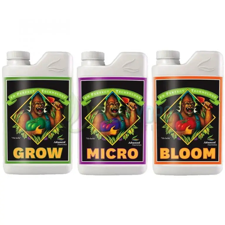 The 10 Most Impressive Hydroponic Nutrients for 2021 - Marijuana Beginners