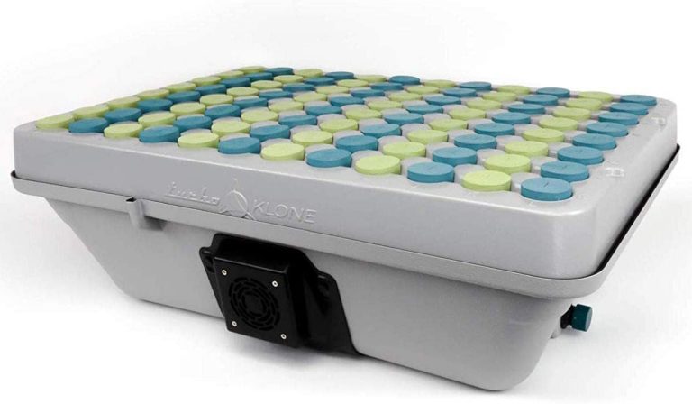 5 Best Cloning Machines in 2024 - Marijuana Beginners