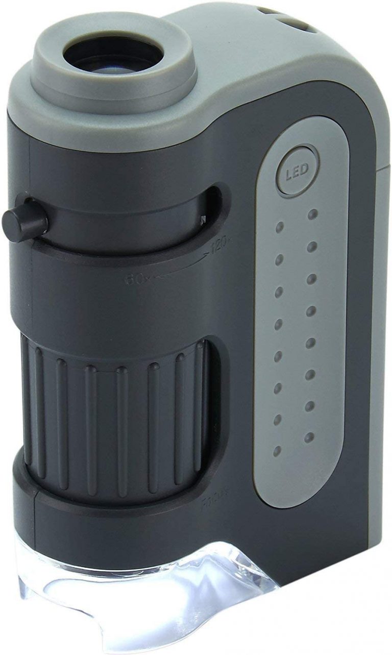 12 Best Magnifying Glass and Microscopes for Trichomes in 2021 ...