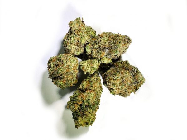 Colorado Weed Strains - Marijuana Beginners